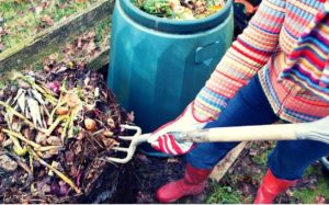 Los 6 problemas más comunes del compost – Tips De Reciclaje